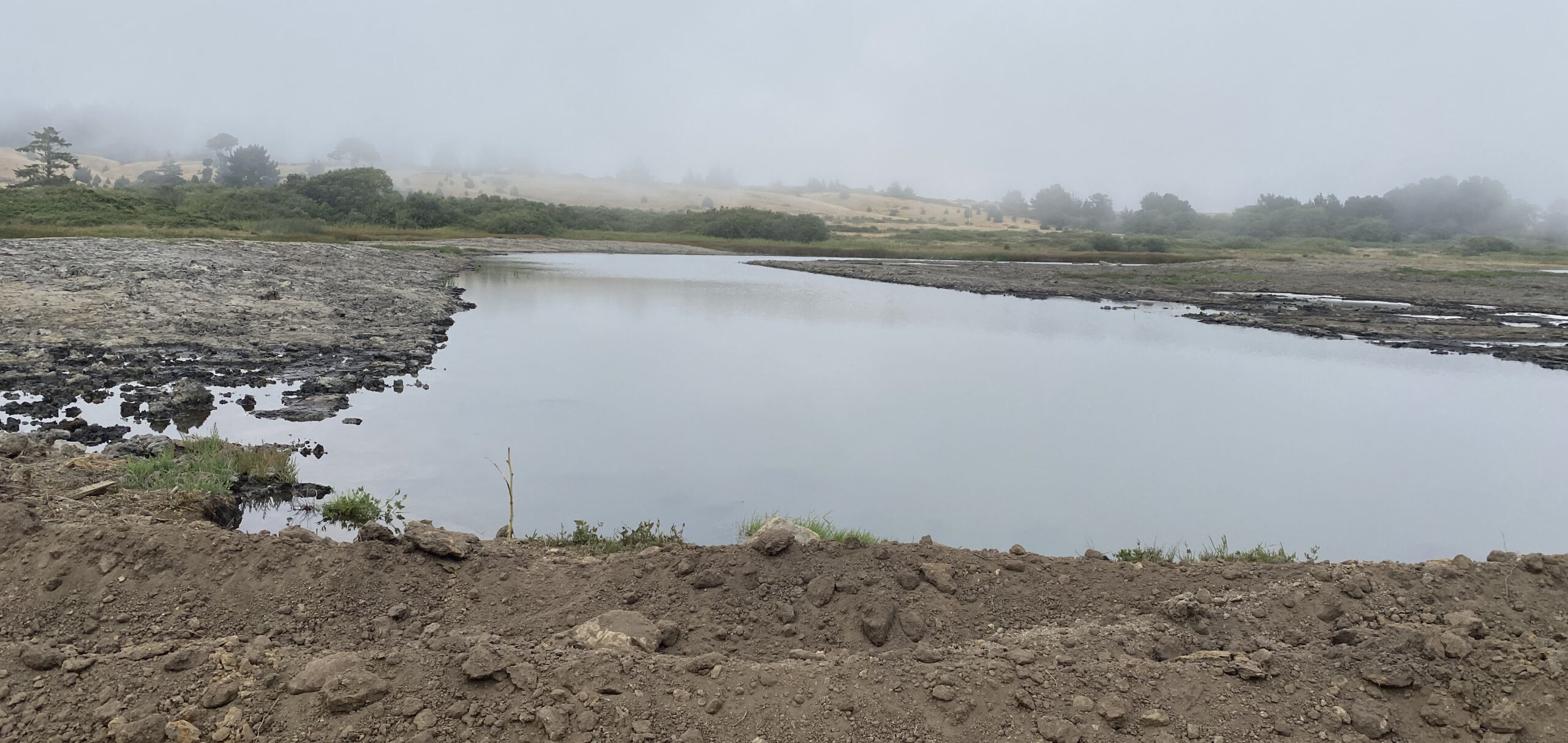 Ocean Ranch Restoration Project - Friends of the Eel River